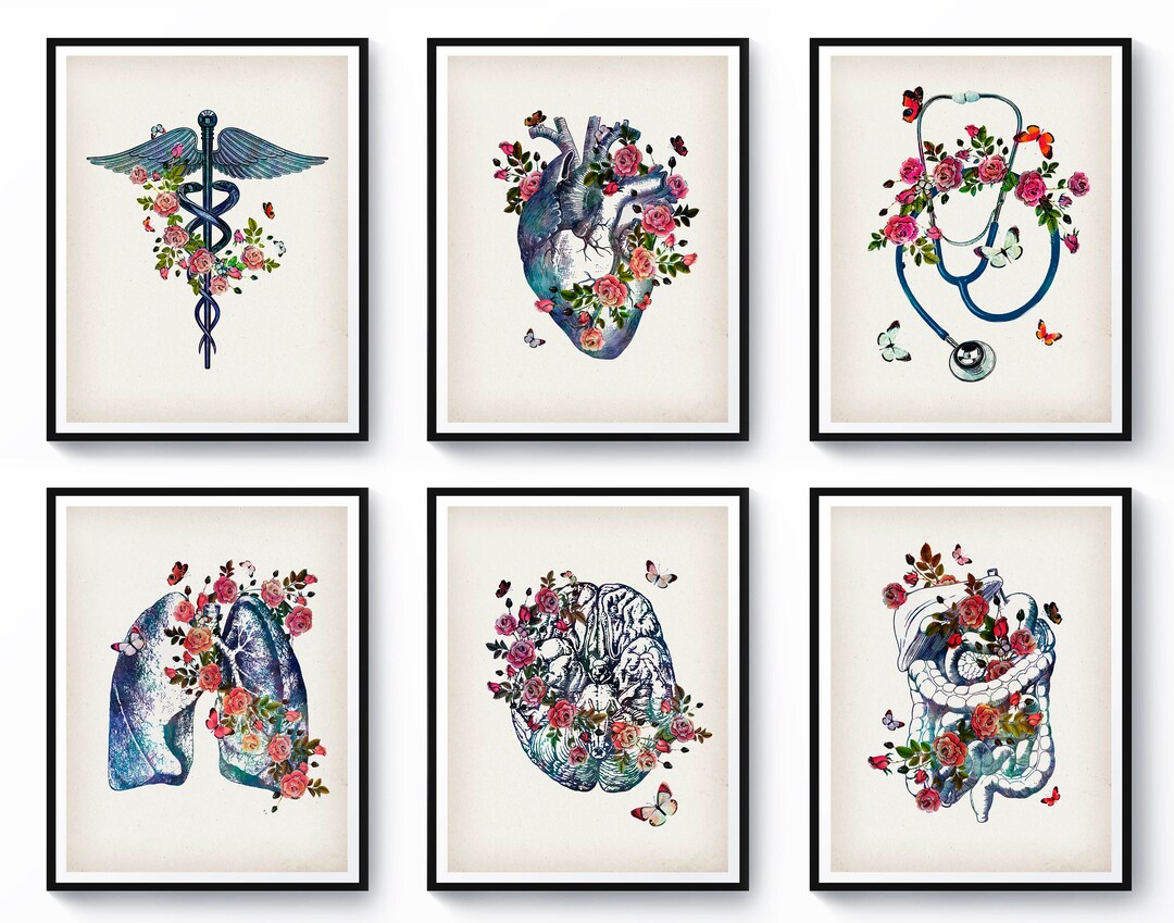 6 Medical Art Vintage Anatomy Decor Anatomical Heart Lungs Brain Poster ...