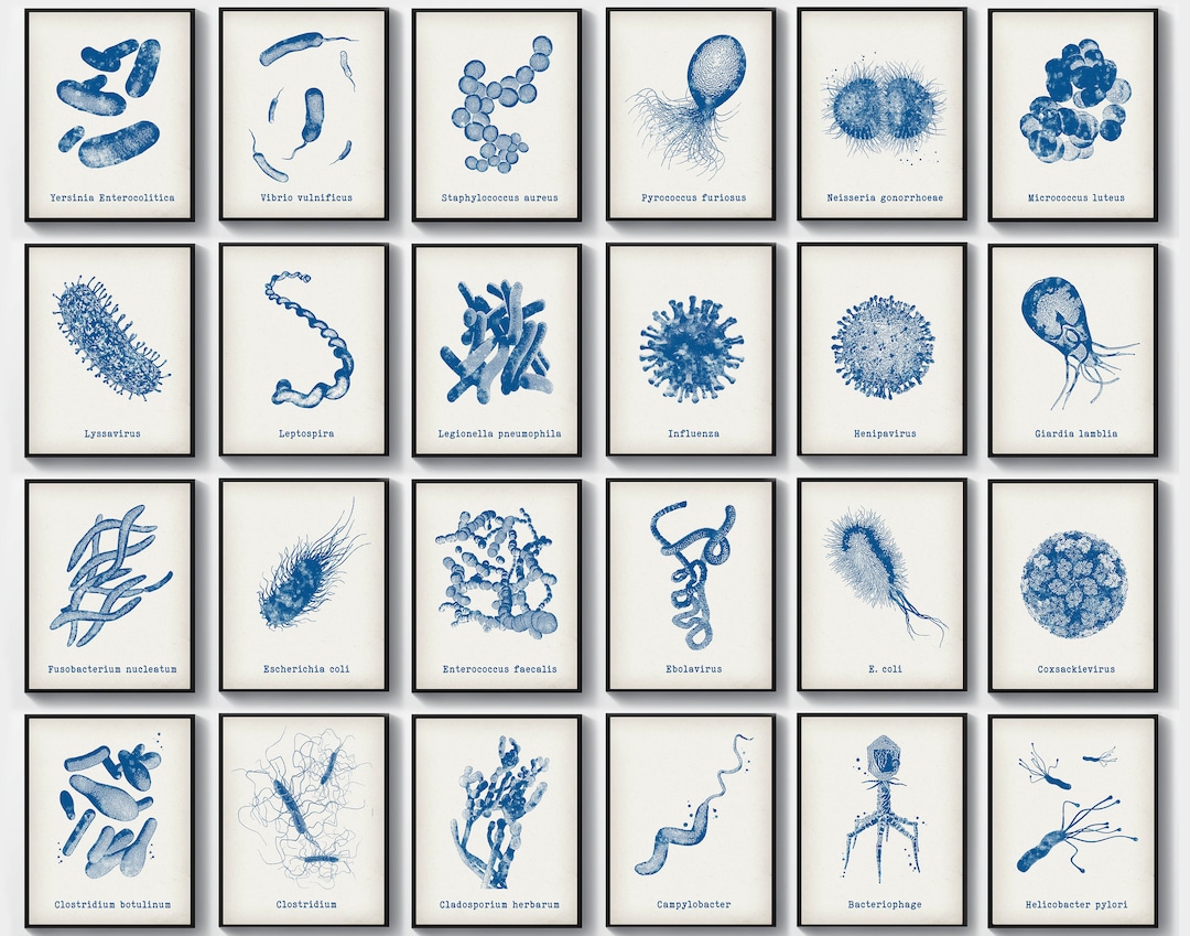 24 Vintage Microbiology Art Bacteria Types Posters Microorganism Names ...