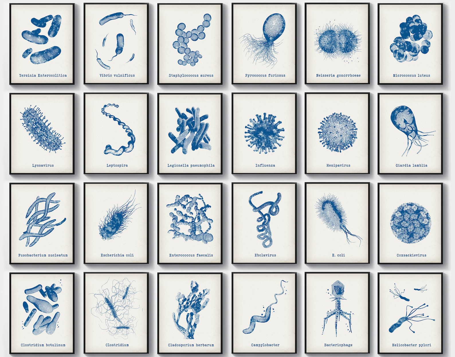 24 Vintage Microbiology Art Bacteria Types Posters Microorganism Names ...