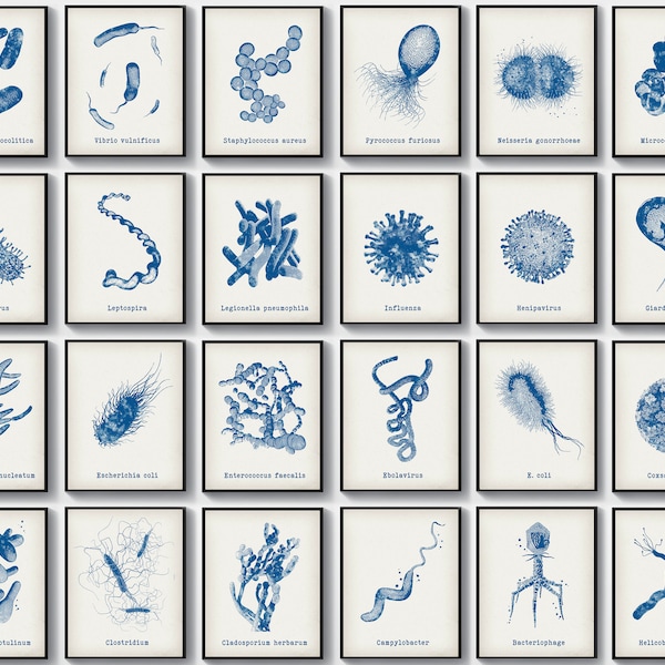 Microbiology Poster - Etsy