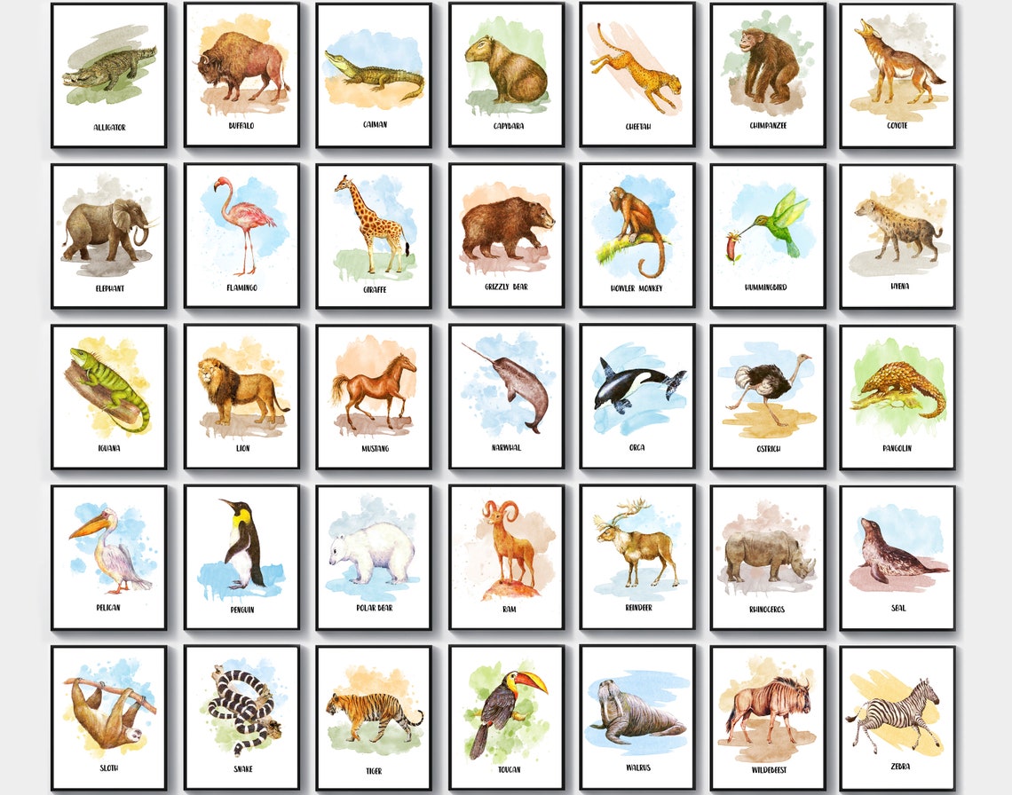 35 Watercolor Animal With Names Art Biology Artwork Animal Types Poster ...