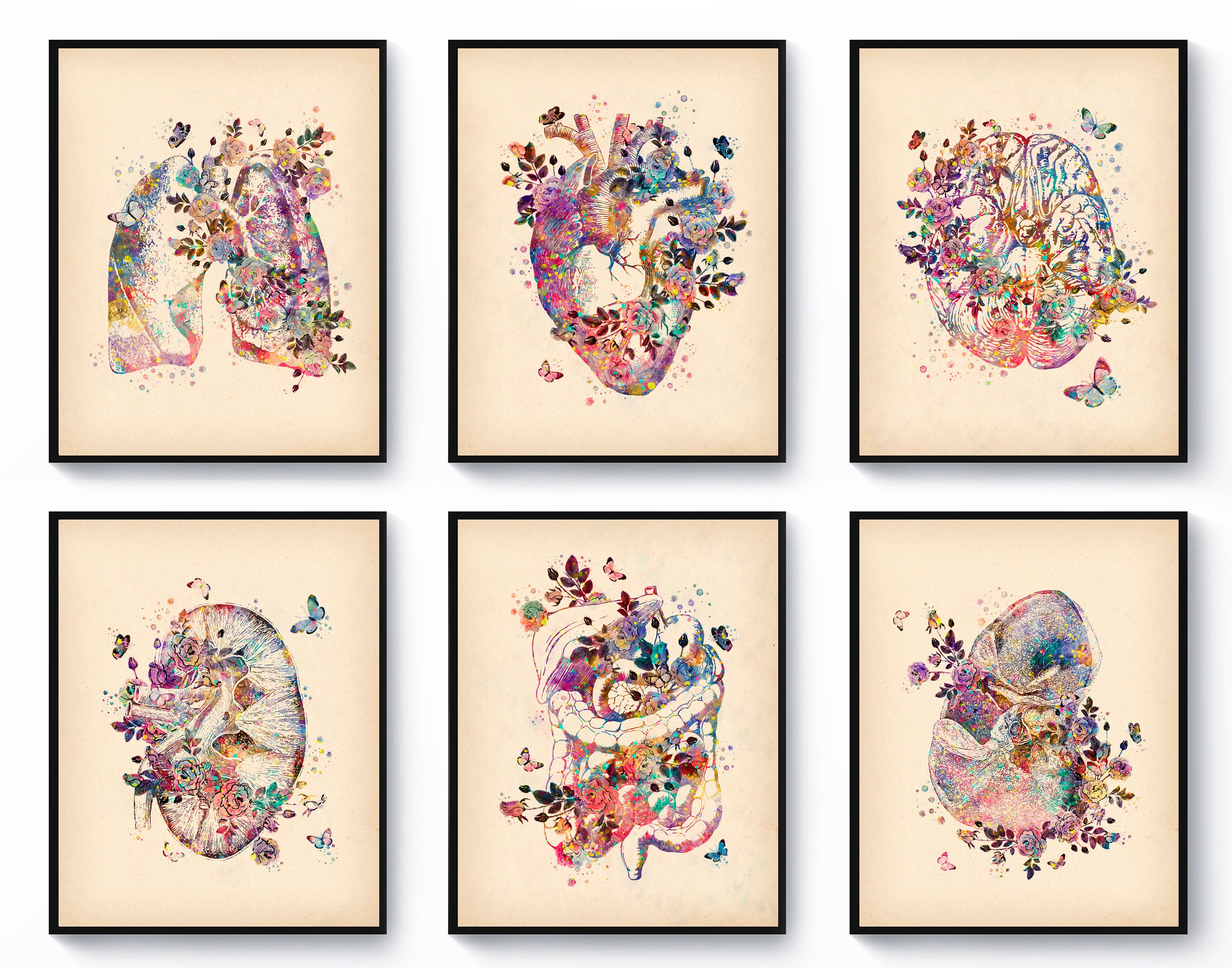 6 Watercolor Anatomical Drawings Medical Artwork Human | Etsy