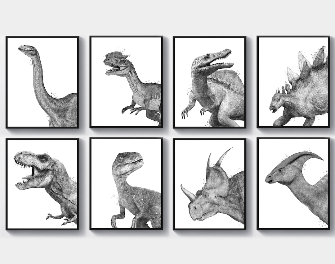 8 Black White Dinosaurs Posters Boys Room Decor Jurassic Theme Art Trex ...