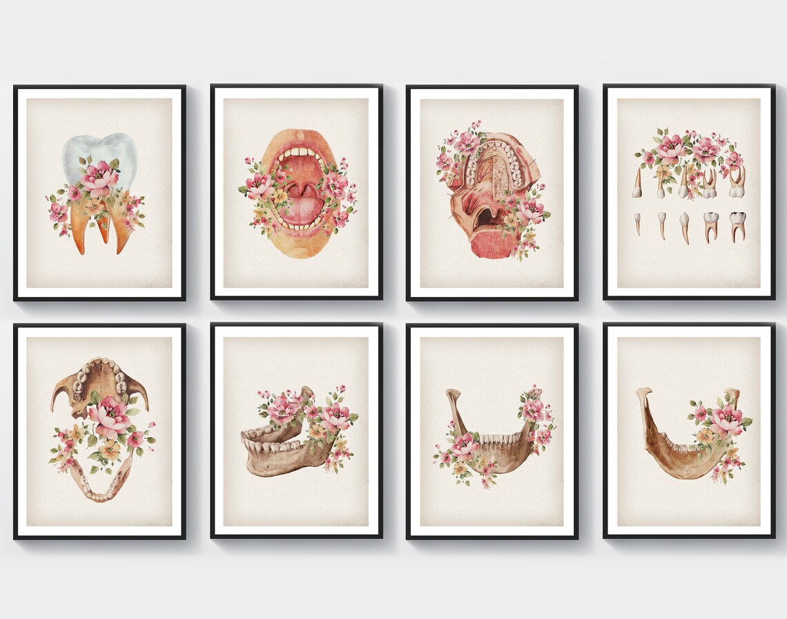 8 Antique Dental Anatomy Decor Dentist Gift Tooth Anatomy Poster Oral ...