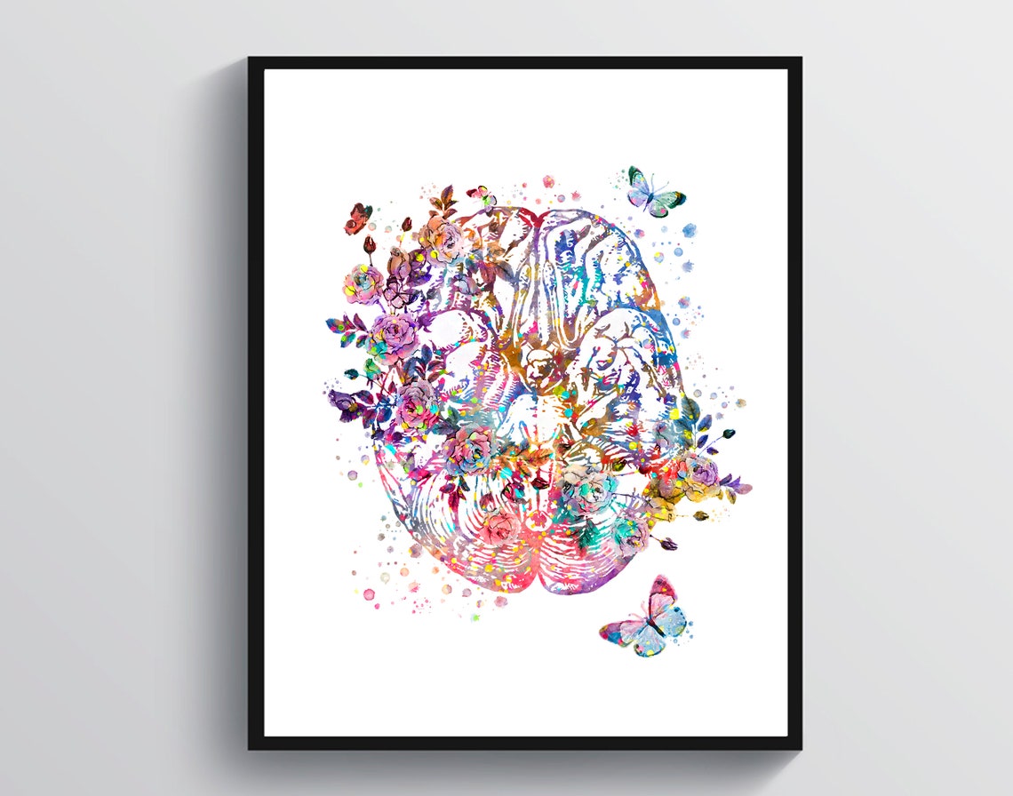 Human Brain Anatomy Artwork Neurology Art Neurologist Gift - Etsy