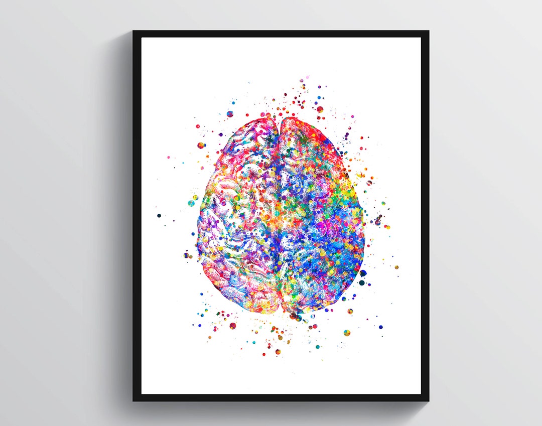 Anatomical Brain Art Anatomy Artwork Neurologist Gift Medical Art ...