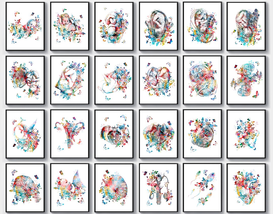 24 Midwife Gift Obgyn Art Pregnancy Artwork Childbirth Art Baby Art ...