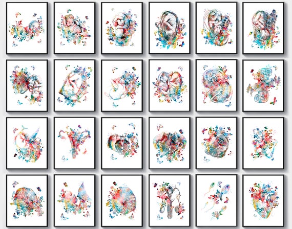 24 Midwife Gift Obgyn Art Pregnancy Artwork Childbirth Art - Etsy