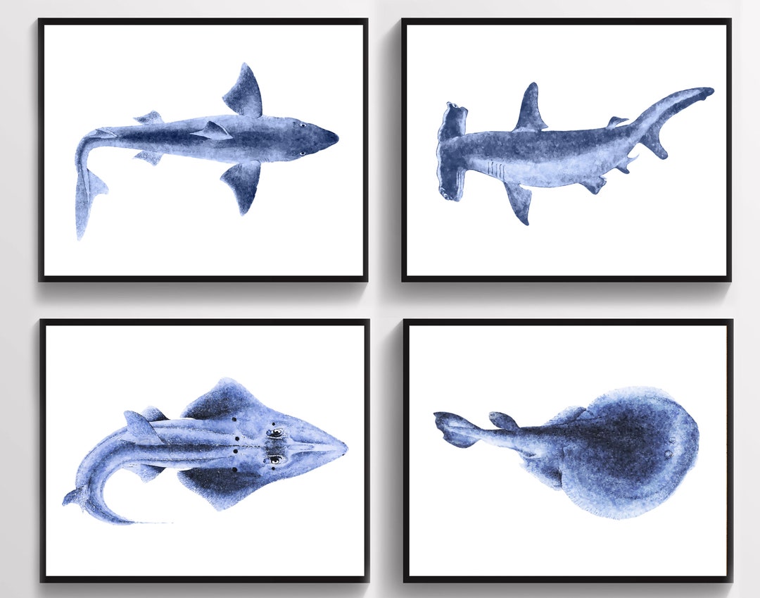4 Ocean Fish Art Sea Animal Art Biology Art Fisherman Gift Shark Art ...