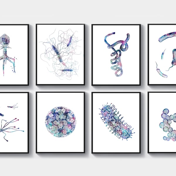 Bacteria Art - Etsy