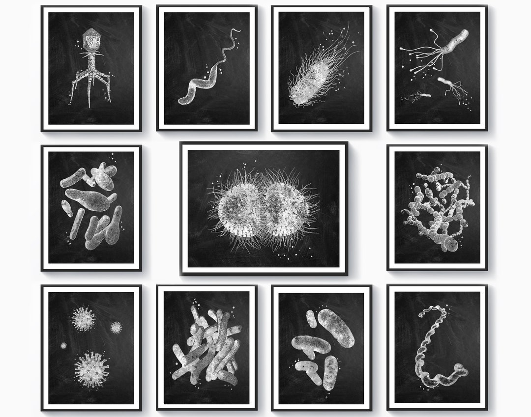 11 Bacteria Types Posters Microbe Art Microbiology Art Medical Artwork Chalkboard Painting ...