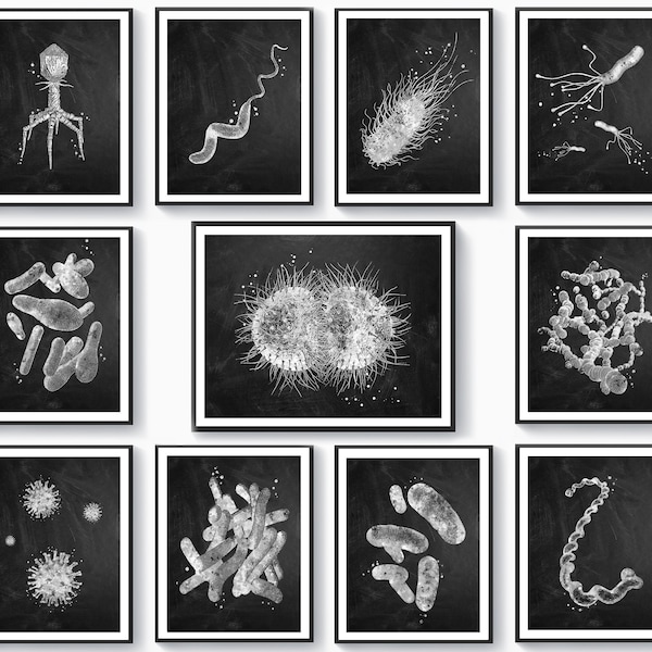 Microbiology - Etsy