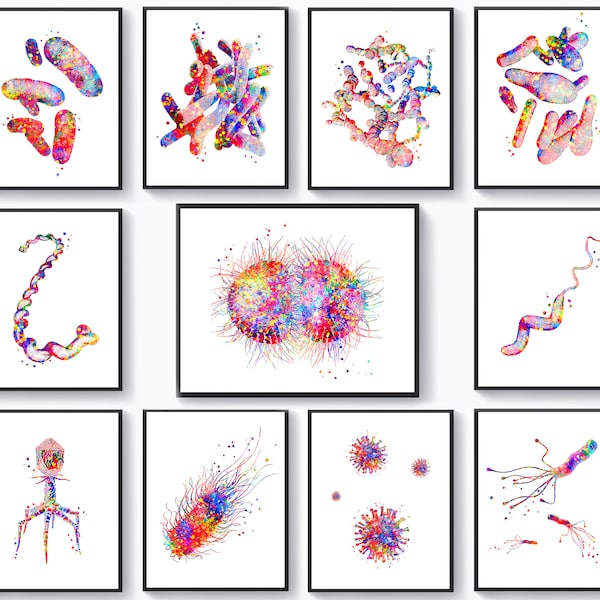 Microbiology Poster - Etsy