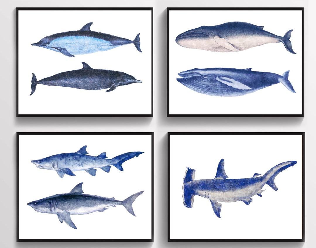 4 Watercolor Sea Animal Art Dolphin Art Whale Art Shark Art Hammerhead ...