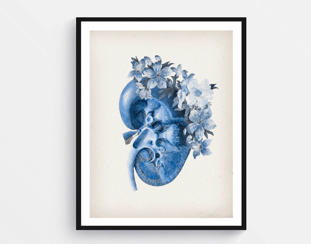 Watercolor Kidney Anatomy Art Medical Art Urinary System Art Floral ...