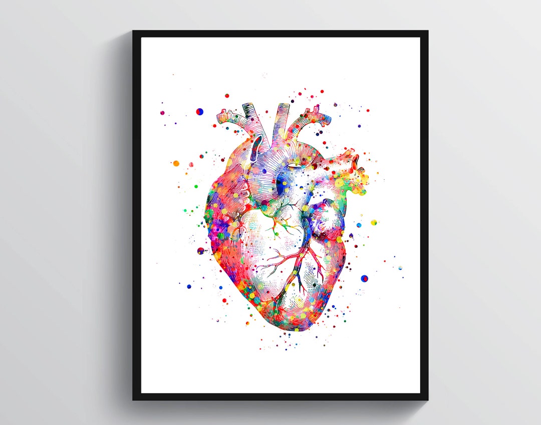 Watercolor Heart Art Anatomy Artwork Cardiologist Gift Medical Art ...