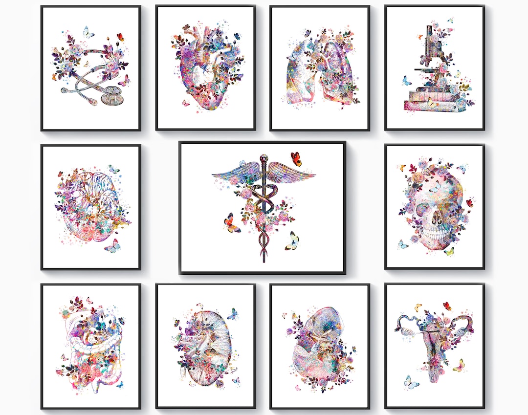 11 Watercolor Anatomy Artwork, Medical Wall Art, Nurse Art, Physiology ...