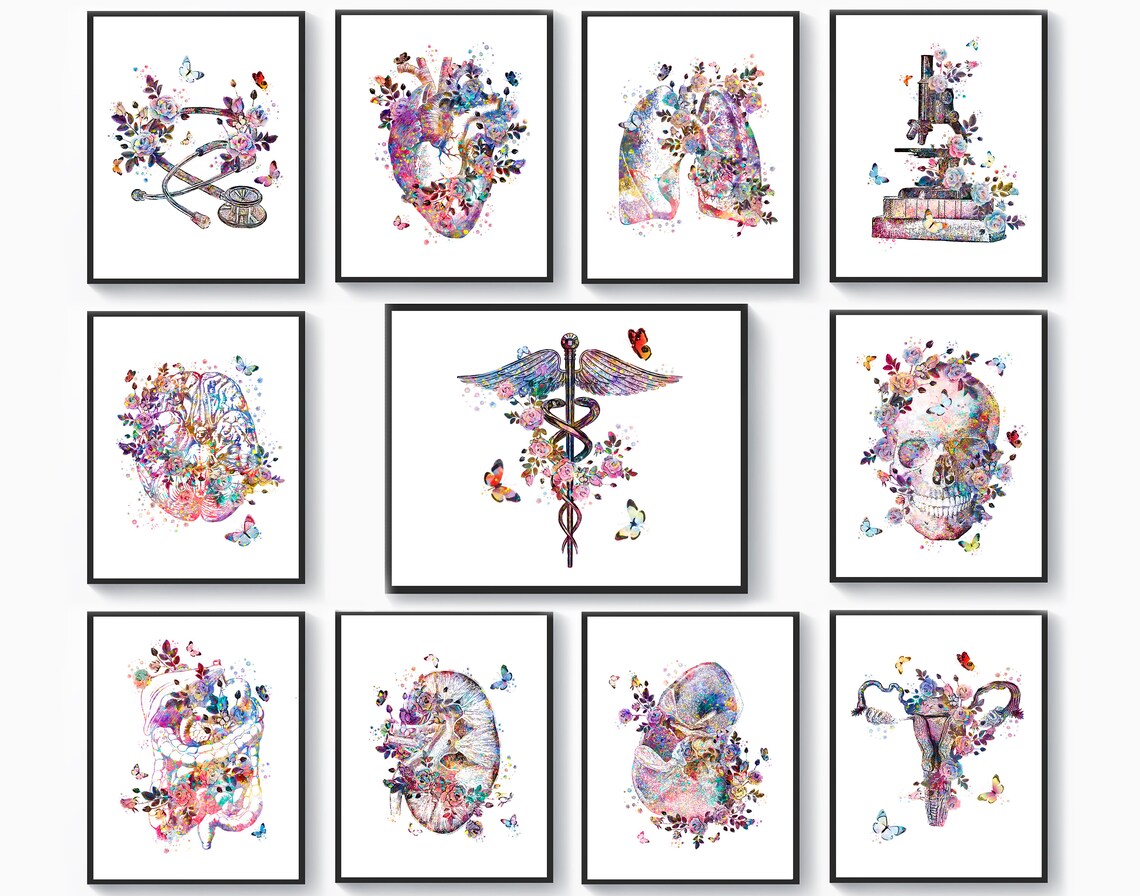 11 Watercolor Anatomy Artwork Medical Wall Art Nurse Art - Etsy