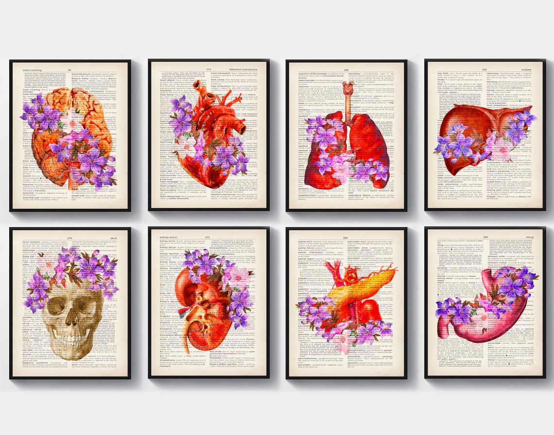 Set 8 Floral Anatomy Art Watercolor Flowers Drawing Vintage - Etsy
