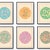 Set 24 Microbiology Art Bacteria Types Posters Microorganism Names ...