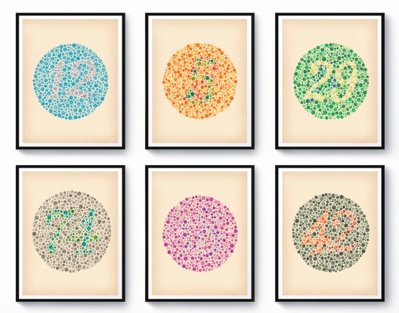 Official Ishihara Color Blindness Test Set 6 Vintage Ishihara Test
