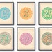 Set 24 Microbiology Art Bacteria Types Posters Microorganism Names ...