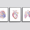 12 Watercolor Anatomy Art, Physiology Art, Floral Anatomy Artwork ...