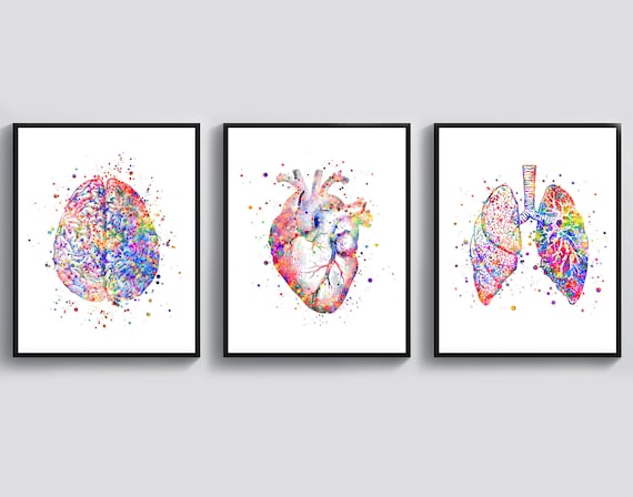 Doctor Office Decor Medical Art Watercolor Anatomy Art - Etsy