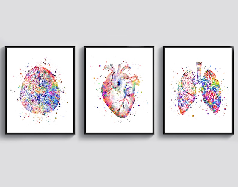 Doctor Office Decor Medical Art Watercolor Anatomy Art Anatomical ...