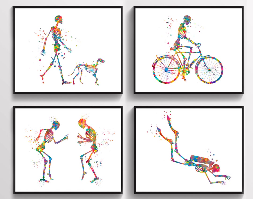 4 Skeleton Art Physiotherapy Artwork Human Skeleton Anatomy Motion ...