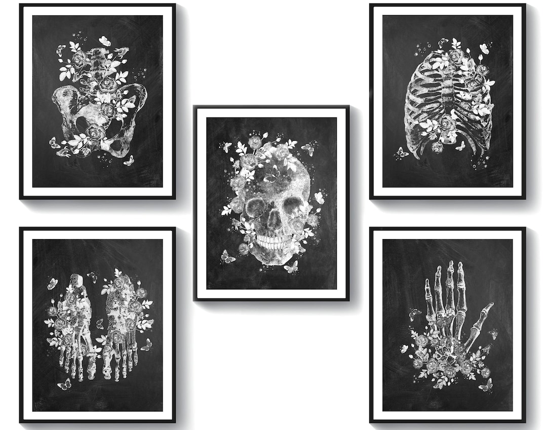 5 Skeleton Anatomy Art Medical Art Skeletal Bones Painting - Etsy