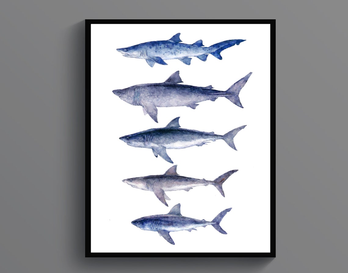 Ocean Sharks Types Art Nautical Wall Decor Watercolor Shark - Etsy