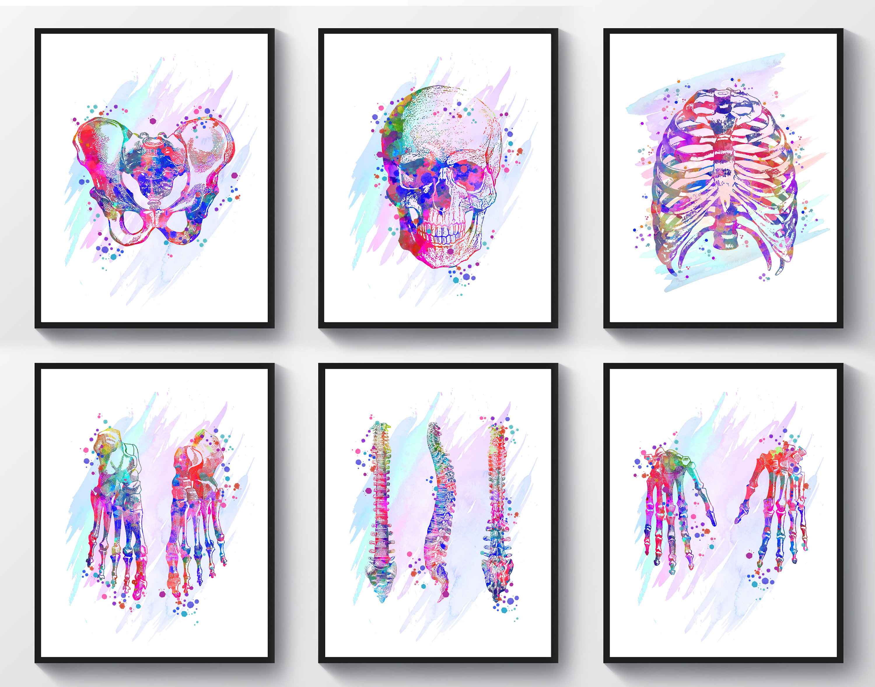6 Skeleton Anatomy Art Watercolor Physiology Art Osteology Art Medical ...