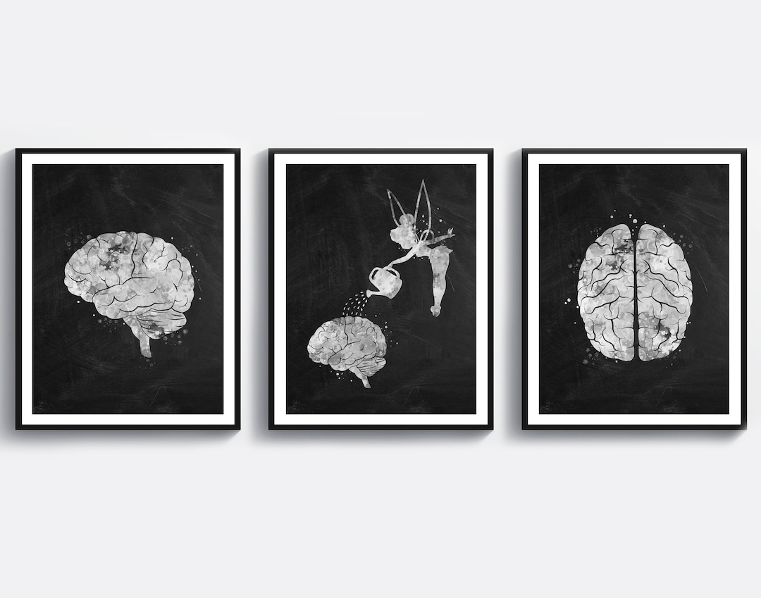 3 Brain Anatomy Art Neurology Poster Brain Growth Drawing Chalkboard ...