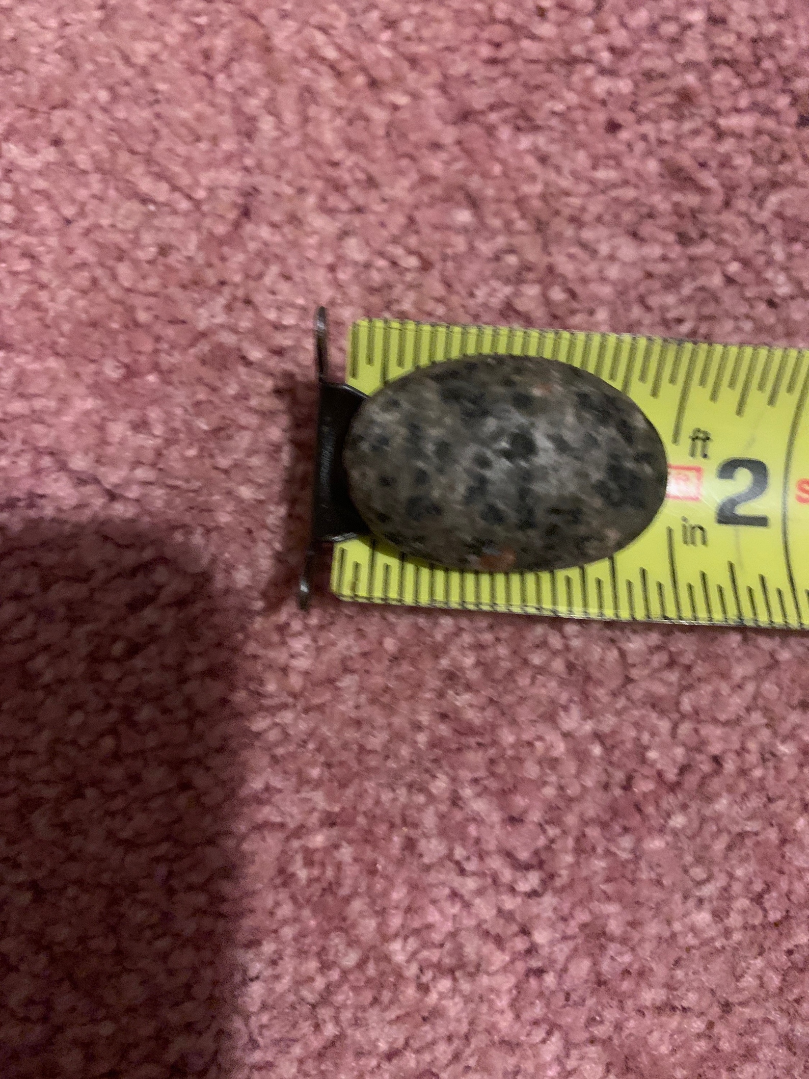 YOOPER Glow Rock UV Reactive Stone Sodalite Fluorescent Mineral ...