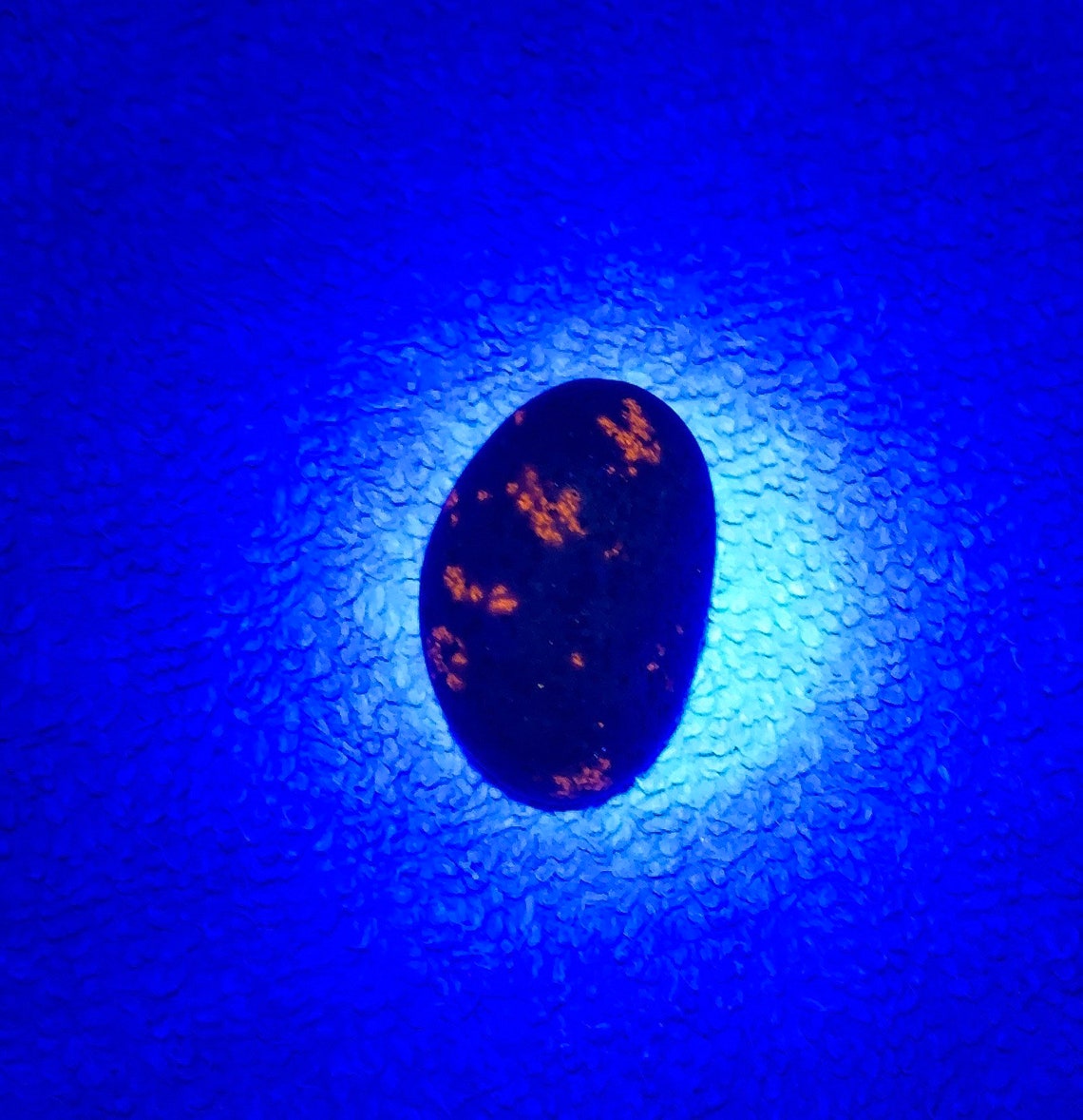 YOOPER Glow Rock UV Reactive Stone Sodalite Fluorescent Mineral ...