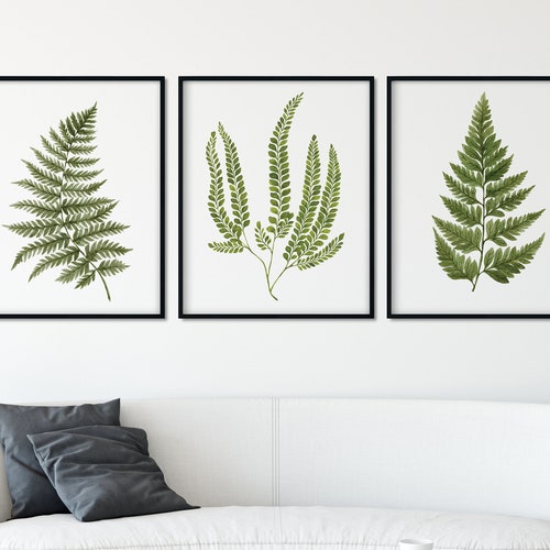Set of 6 Botanical Fern Prints Green Fern Art Botanical - Etsy