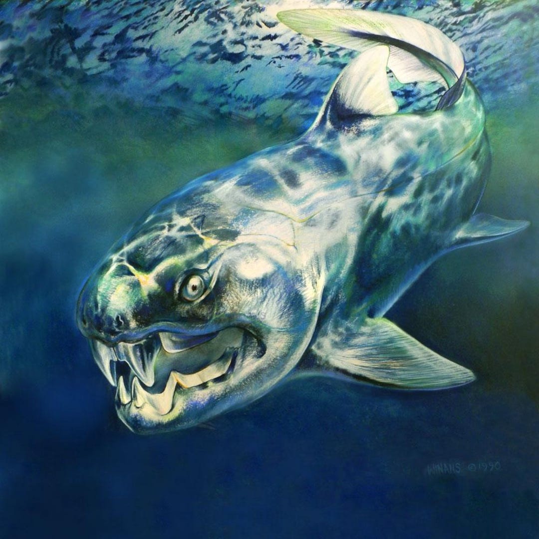 Dunkleosteus I PRINT of Prehistoric Reconstruction Pastel Drawing by ...
