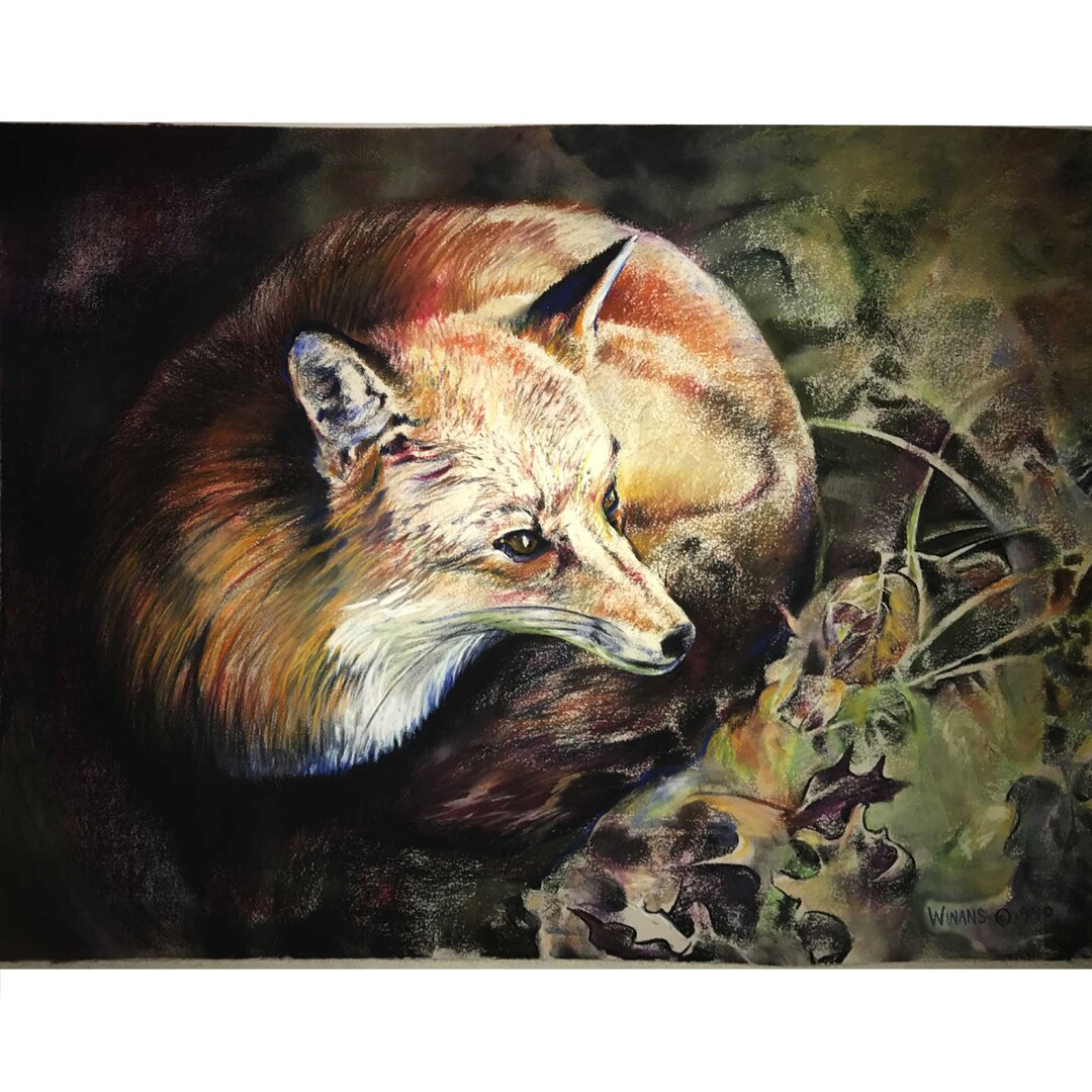 Red Fox PRINT of Animal Pastel Drawing by Joe Winans - Etsy
