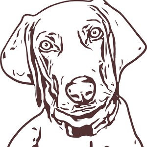 Custom Pet SVG Files digital - Etsy