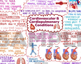Pyelonephritis Nursing Notes/ Concept Map Medical Surgical - Etsy