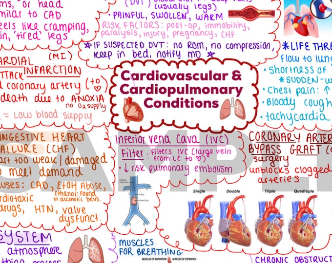 Fractures & Amputations One-page Outline / Concept Map - Etsy