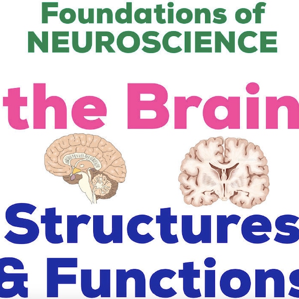 Neuroscience - Etsy