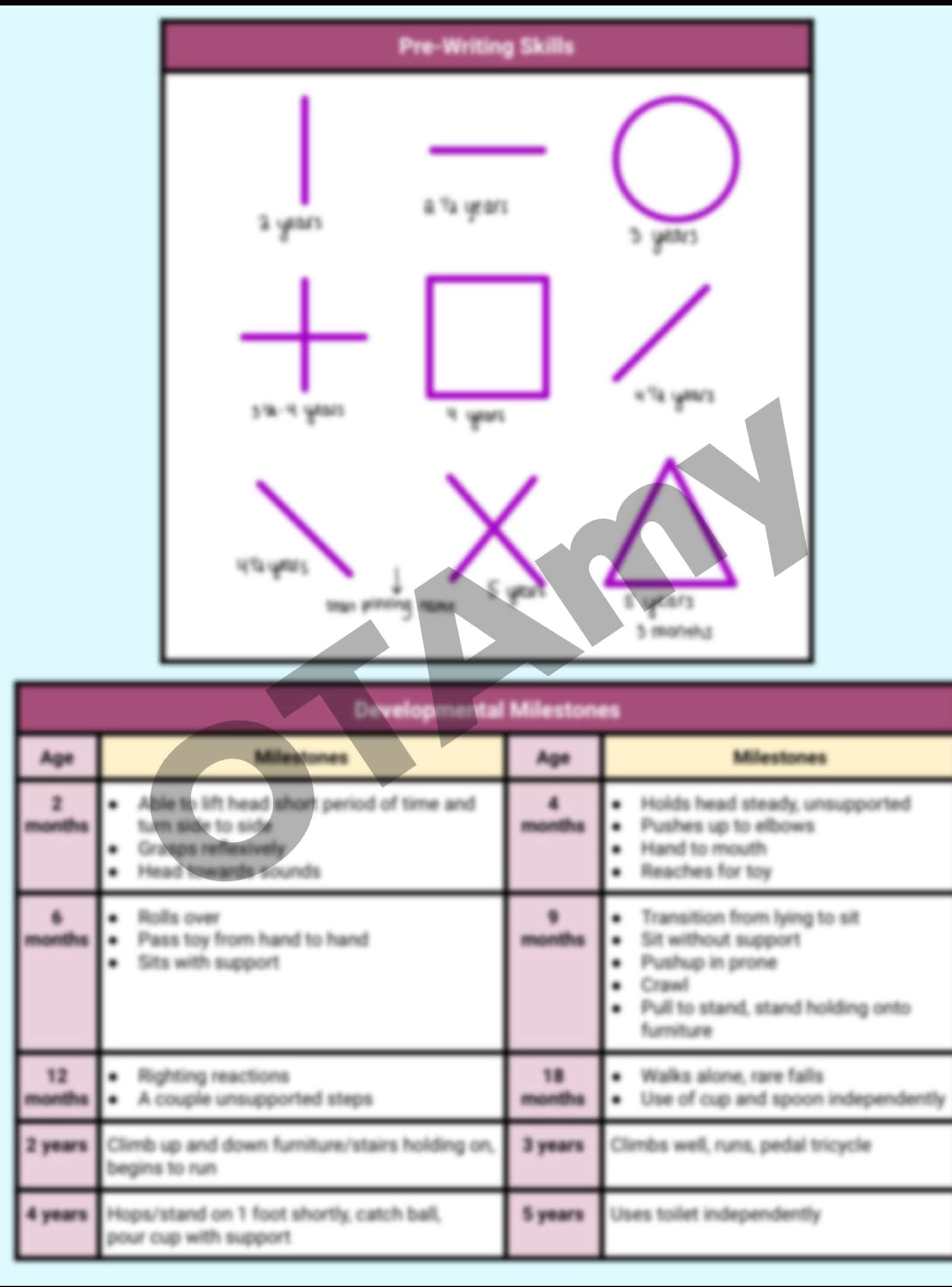OT Quick Reference Guide for Fieldwork and Practicing - Etsy
