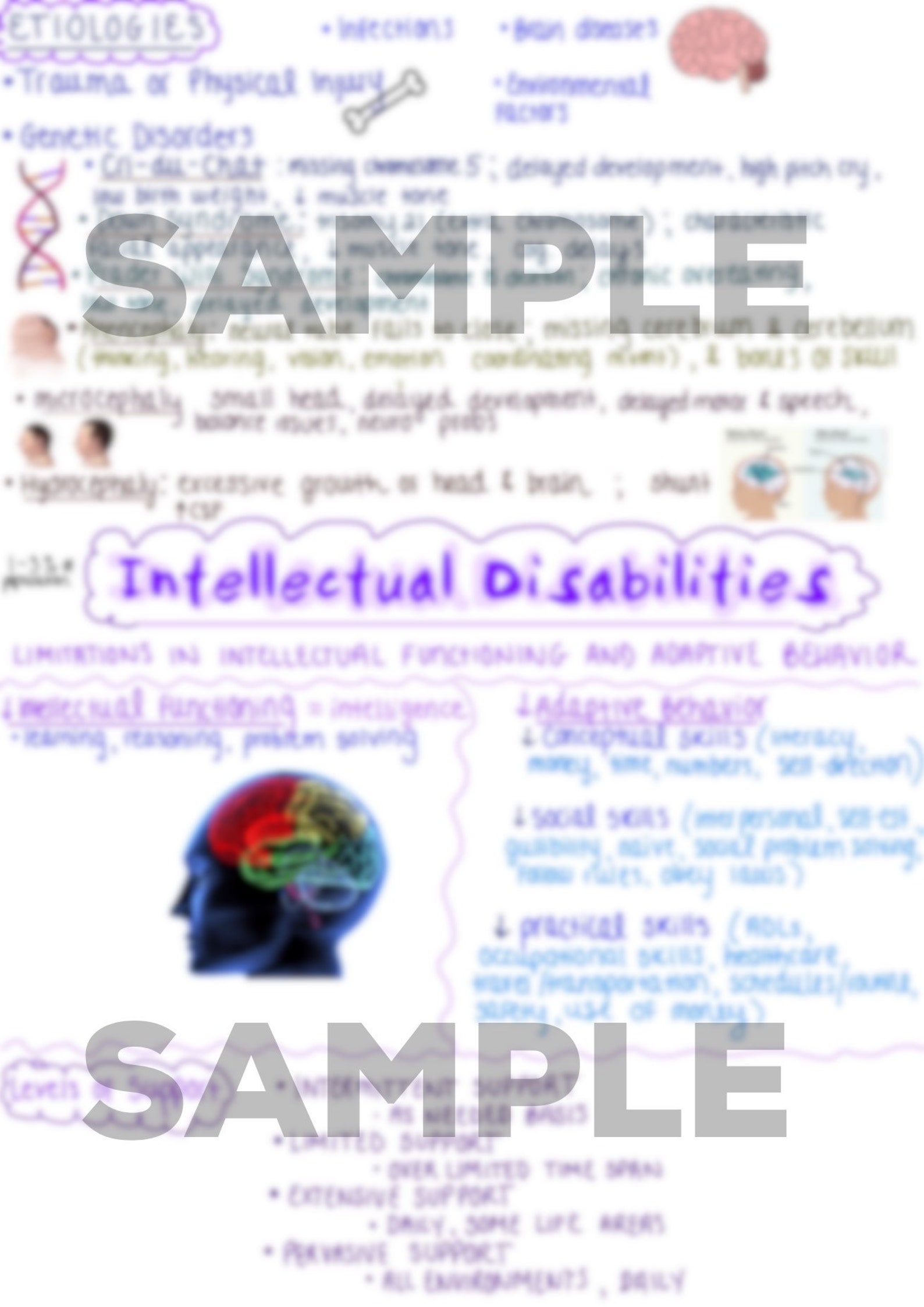 Intellectual Disabilities One-page Outline / Concept Map - Etsy
