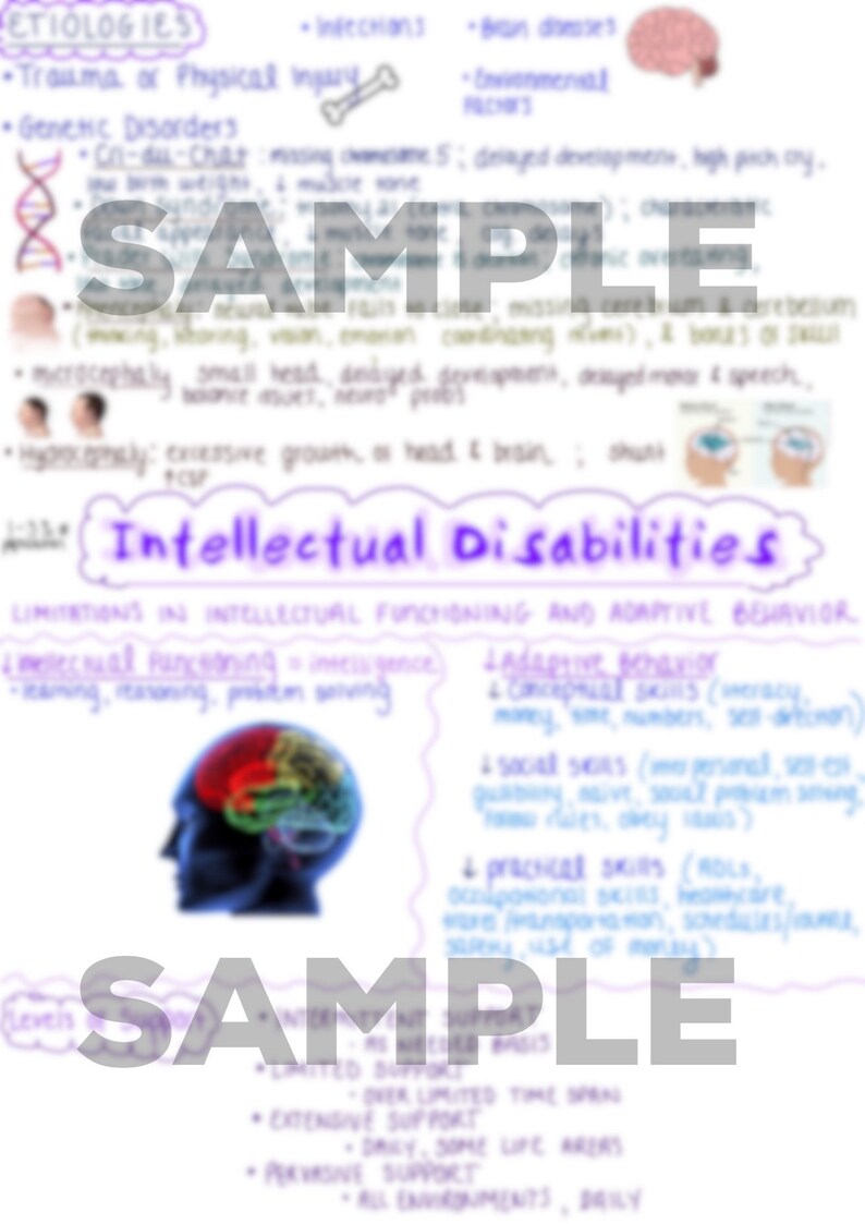 Intellectual Disabilities One-page Outline / Concept Map - Etsy