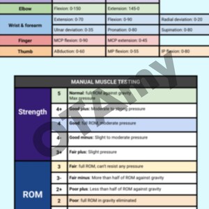OT Quick Reference Guide - for Fieldwork and Practicing Therapists - Etsy