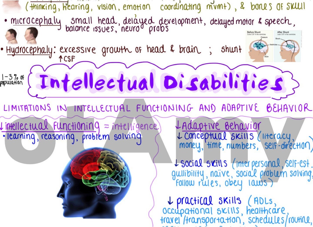 Intellectual Disabilities One-page Outline / Concept Map - Etsy