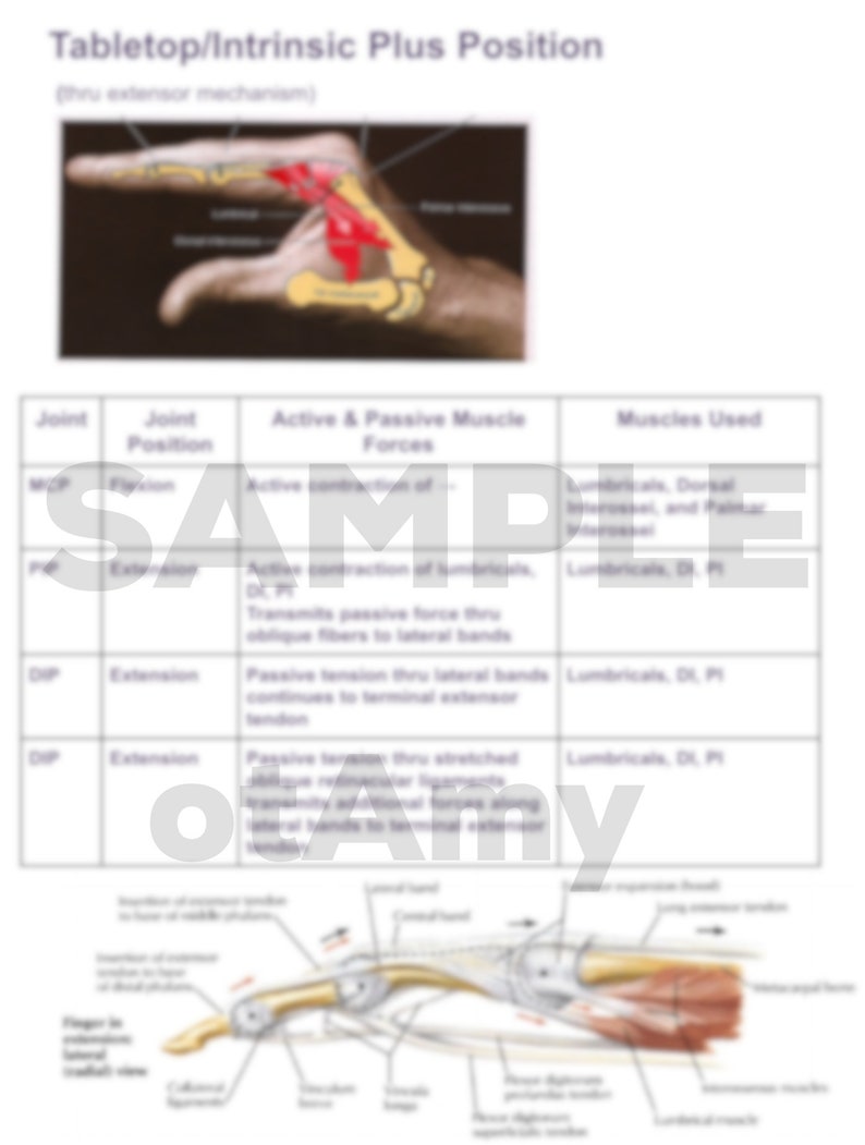 Muscle Grip Chart Study Guide - Anatomy & Kinesiology - Etsy