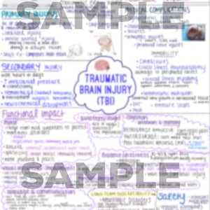 TBI One-page Reference Sheet / Concept Map - Etsy